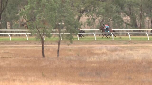 Great Western Jump Out 10 20032025 | RACING.COM