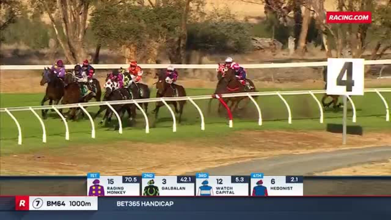 Donald Race 7 70425 | RACING.COM