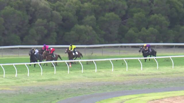 Hamilton Jump Out 11 30052025 | RACING.COM