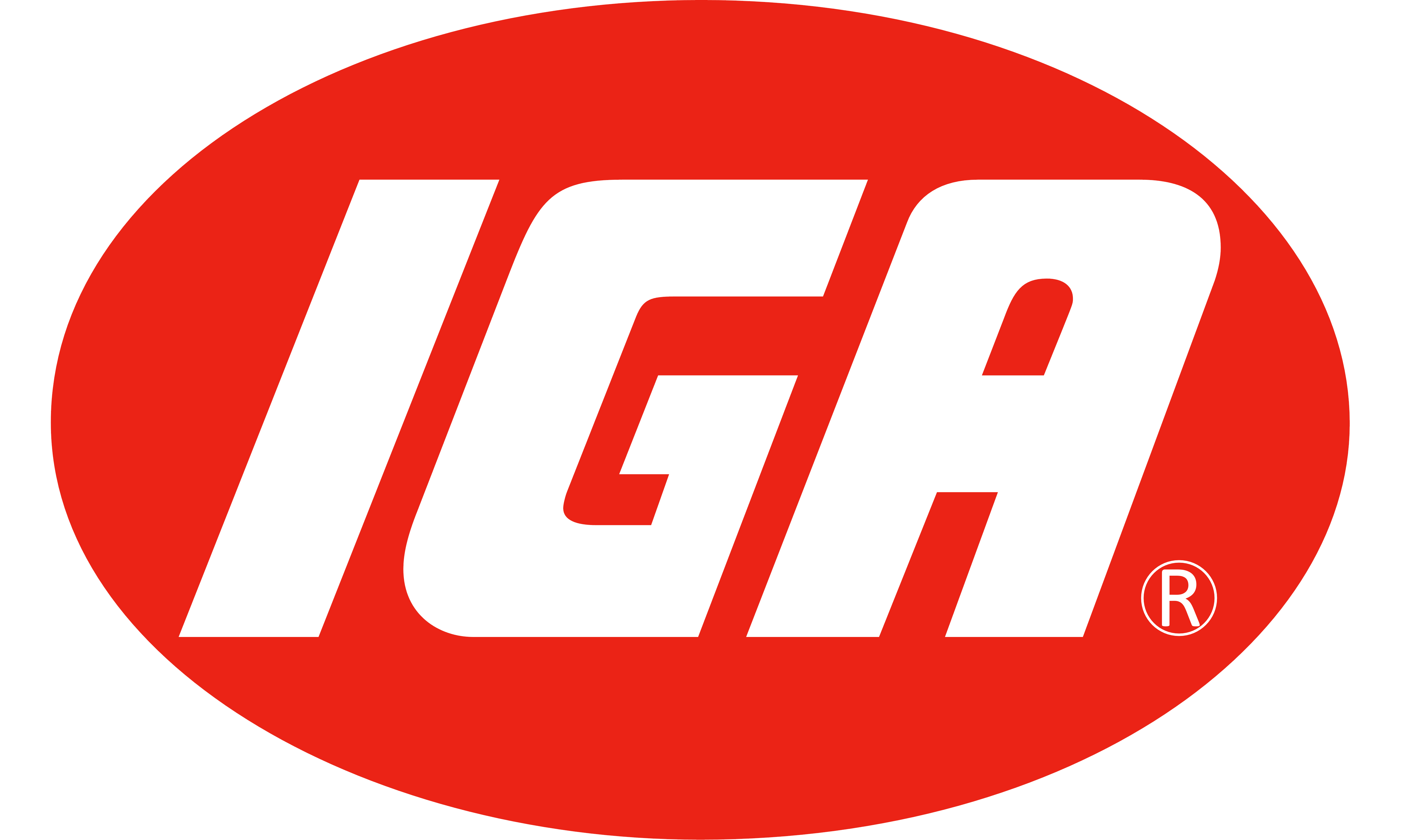 Explore New IGA Ads 2023 Bigdatr