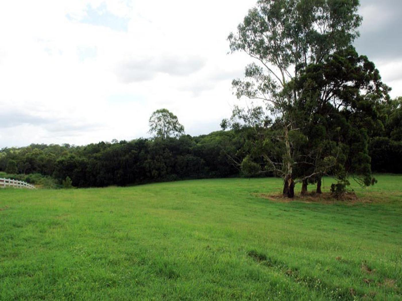 Fig Tree Pocket QLD 4069 - Land Sold | Brisbane Real Estate™