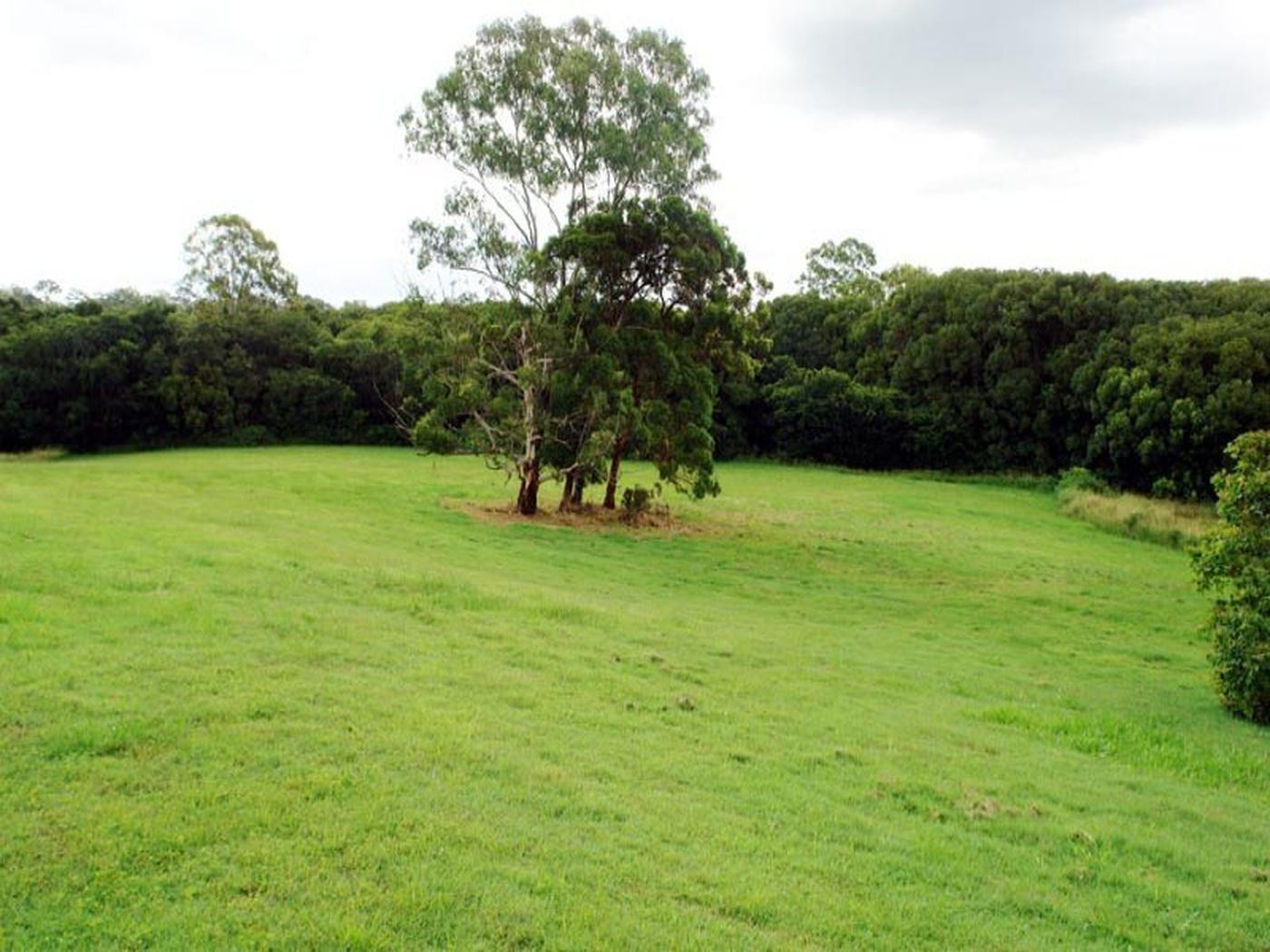 Fig Tree Pocket QLD 4069 - Land Sold | Brisbane Real Estate™