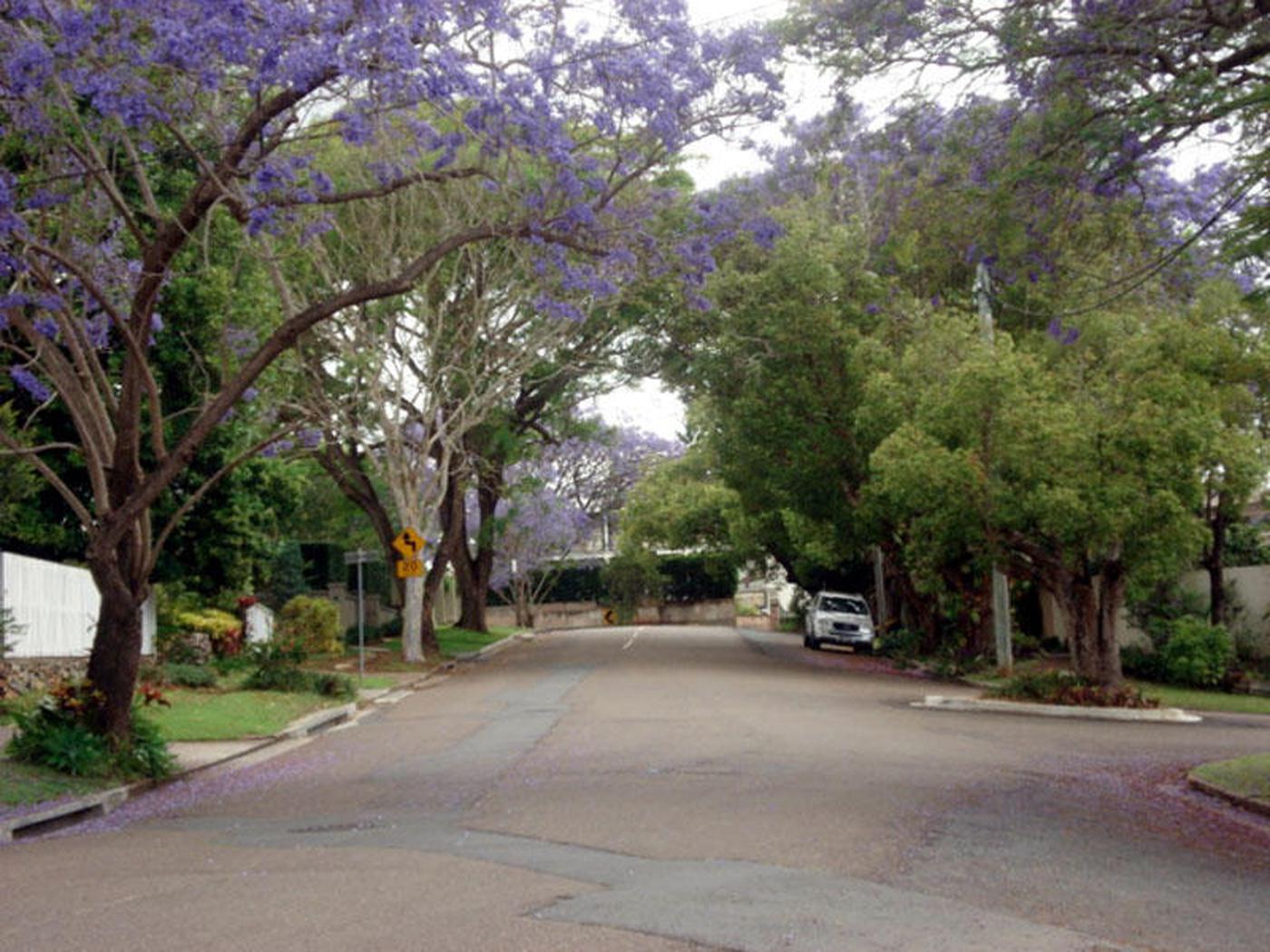 Longman Terrace, CHELMER QLD 4068 - Land Sold - brisbanerealestate.com.au