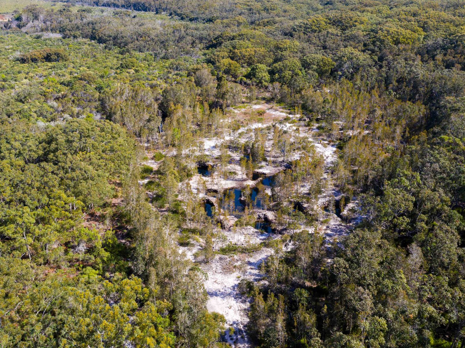 156 Waterman Street, Old Bar NSW 2430 - Lifestyle Rural Property For ...