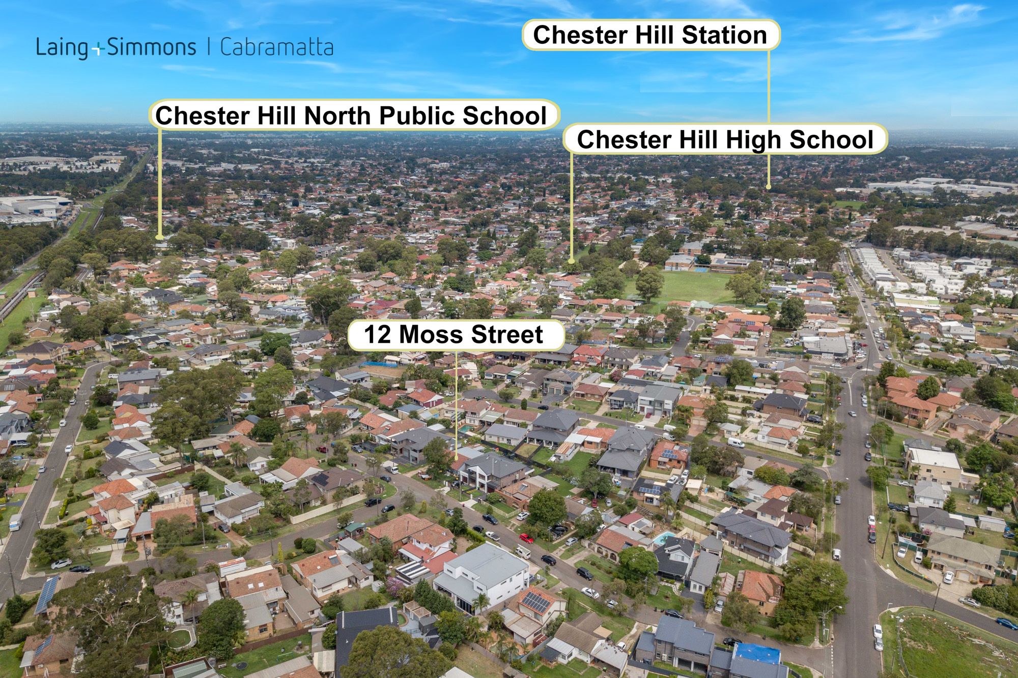 12 Moss Street, CHESTER HILL NSW 2162 - Property Information