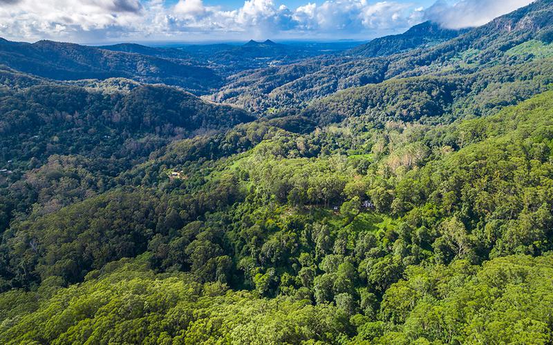 Lot 3 Middle Ridge Road, Upper Main Arm NSW 2482 - Property Information