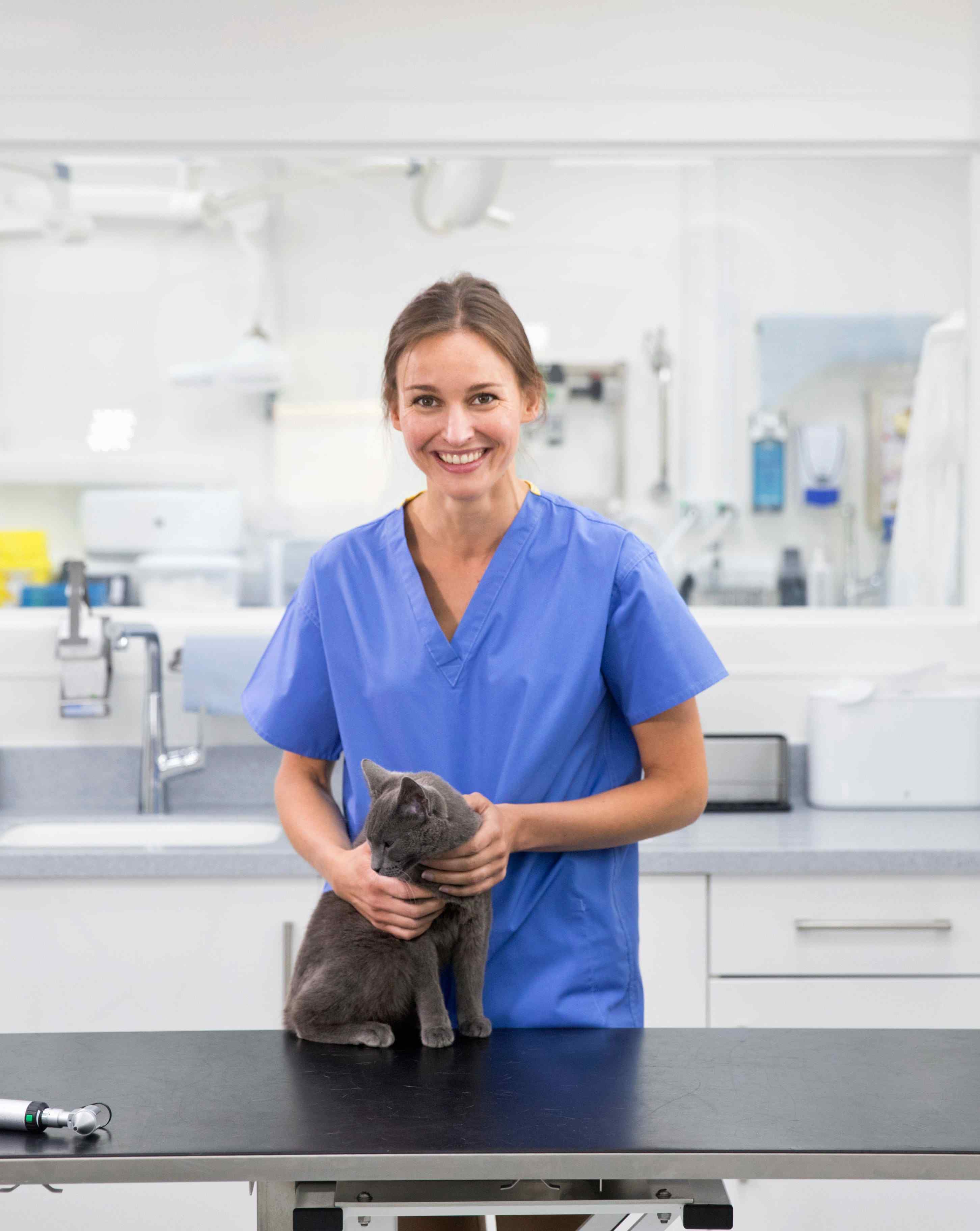 Veterinary Clinic Staff Rostering Software | RosterElf