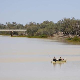 Emerald Showground, Emerald - reviewed by RvTrips