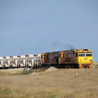 Emerald Showground, Emerald - reviewed by RvTrips