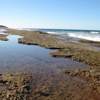 Emerald Showground, Emerald - reviewed by RvTrips
