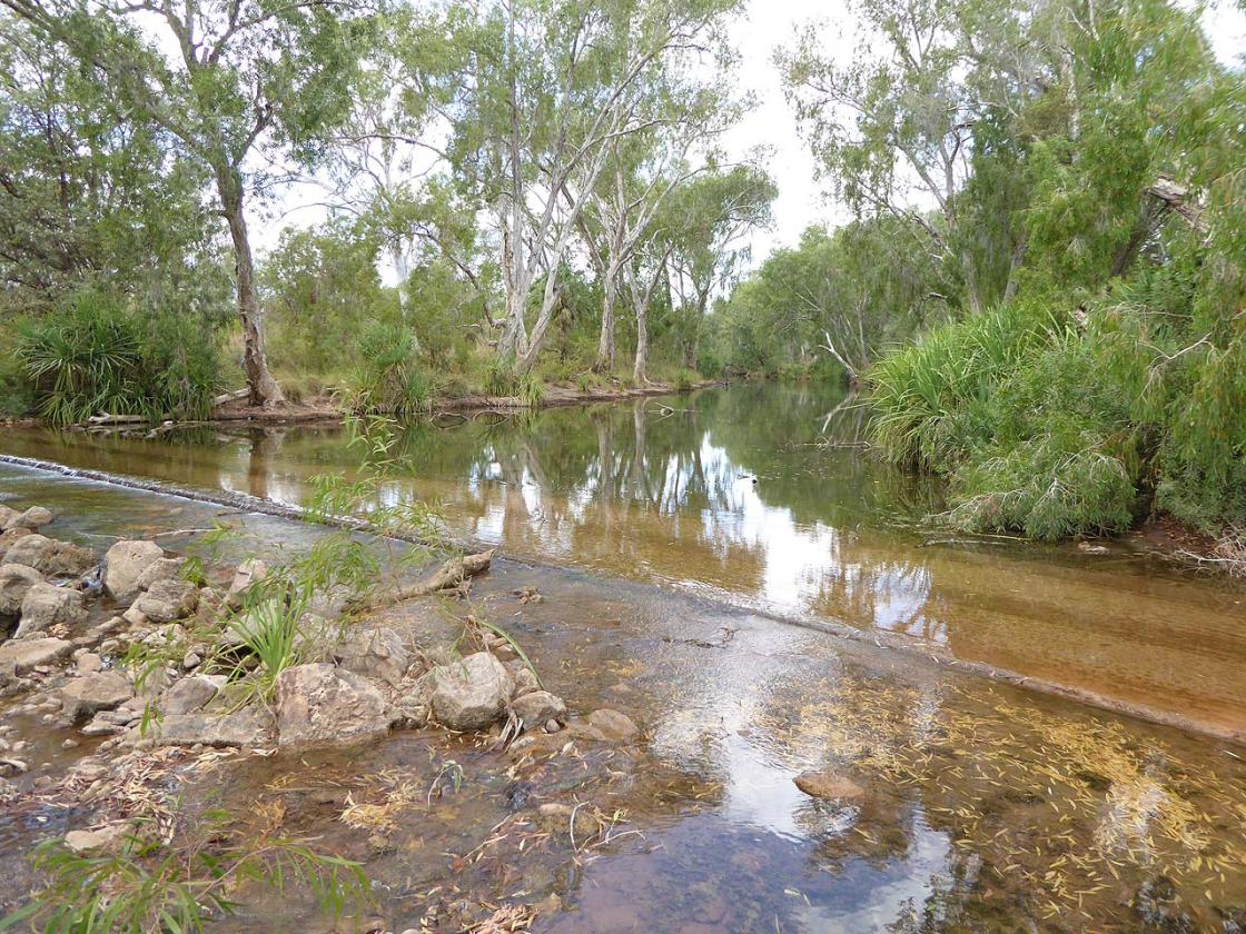 Gregory River Rest Area QLD - reviewed by RvTrips