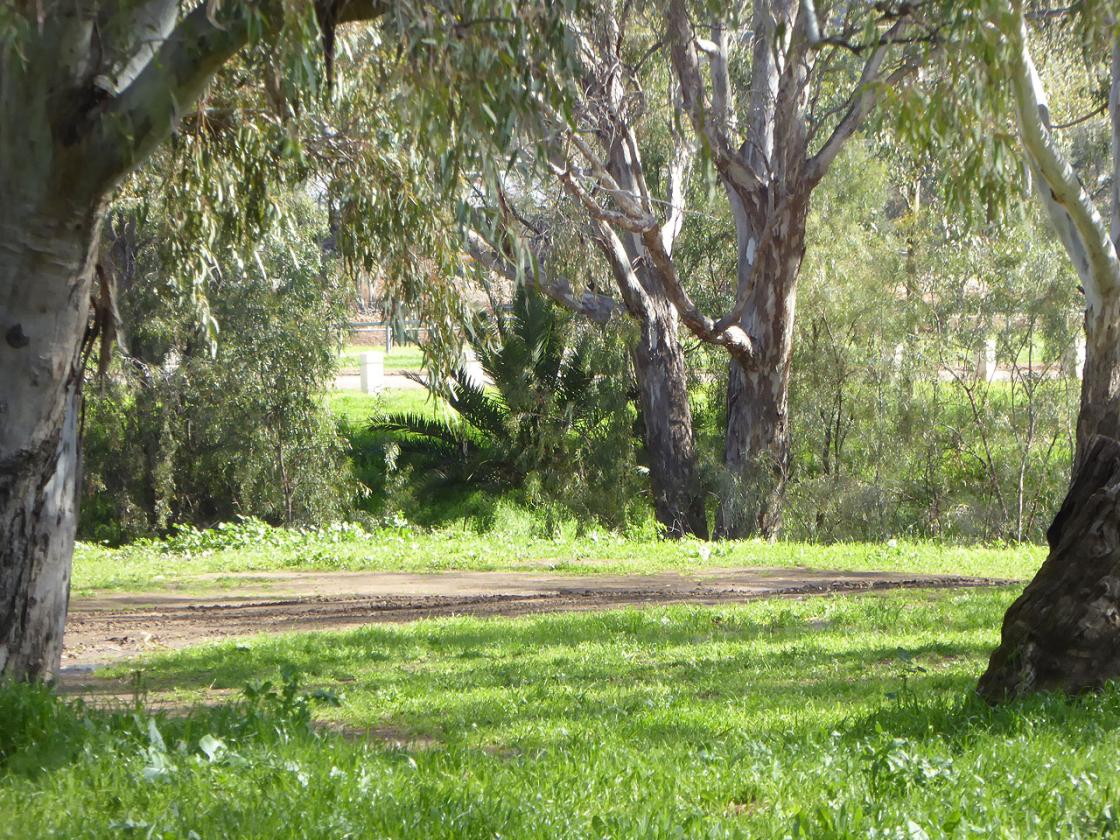 Cohens Bridge Rest Area NSW - reviewed by RvTrips