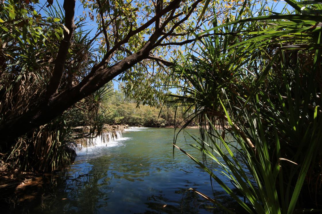 Mataranka Falls, Mataranka - reviewed by RvTrips