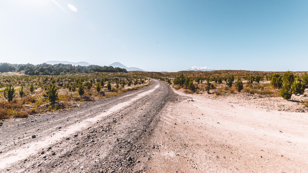 Pokaka Mill Campsite Road - Overland Navigator by Overland New Zealand