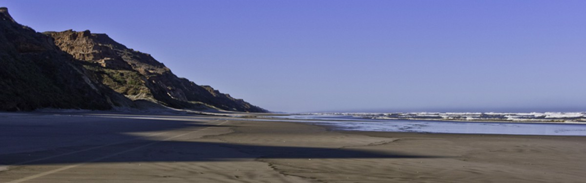 Ripiro Beach - Overland Navigator by Overland New Zealand