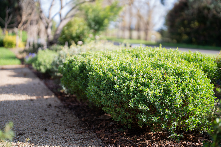 Combined/L-Foreshore-PMA.0.jpg