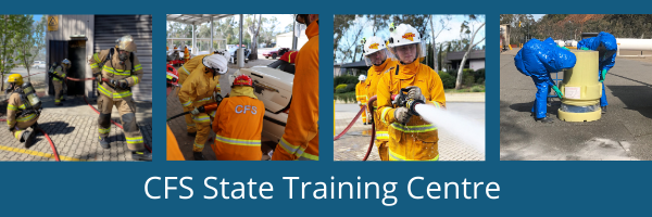 Contact Us - CFS Volunteer Portal