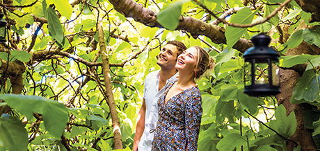 Ferry, Accommodation, Holidays and Tours - SeaLink Kangaroo Island