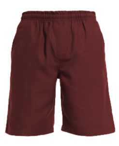 School Shorts – slingshot-apparel