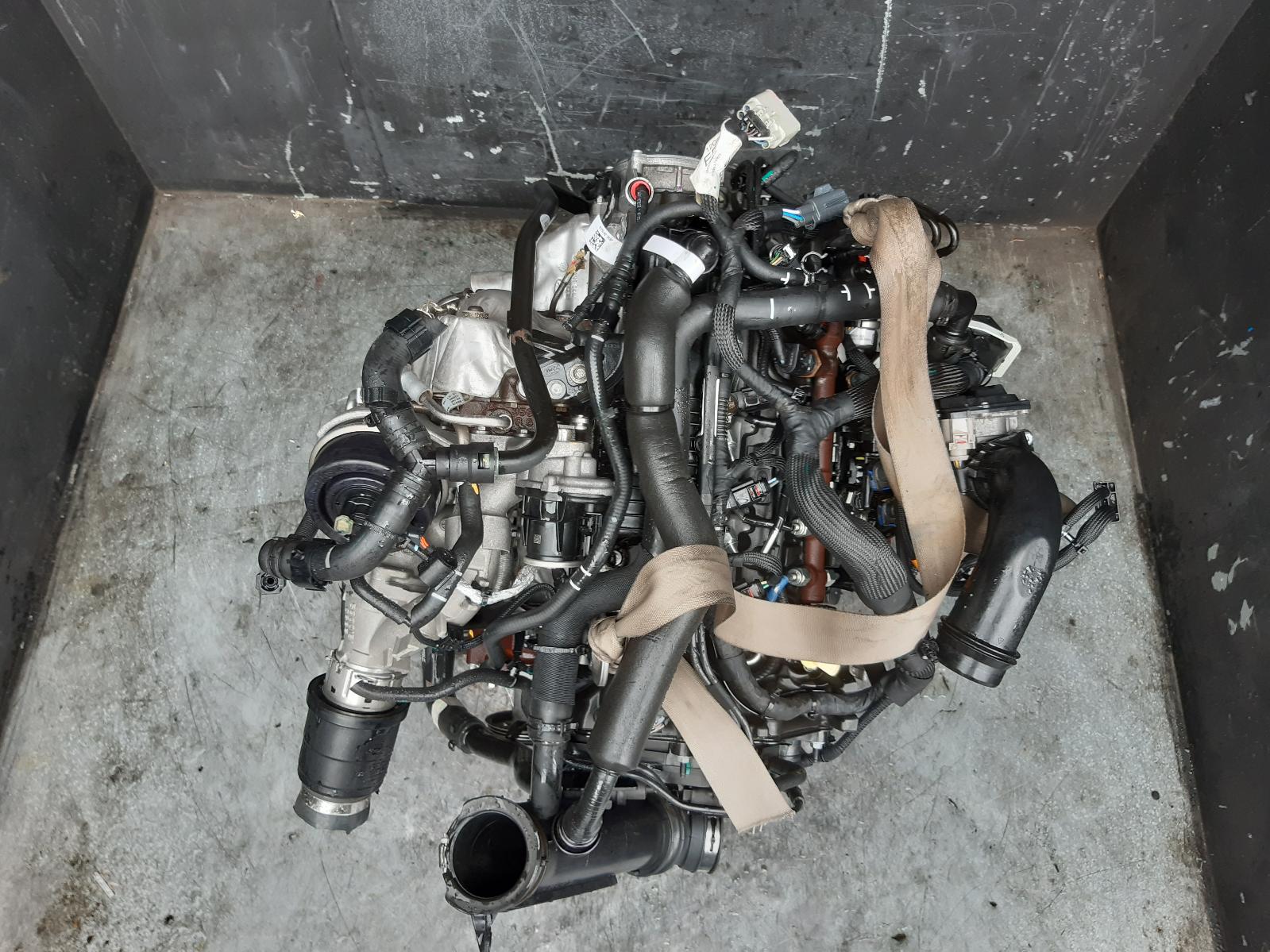 Engine Everest Ford 2021