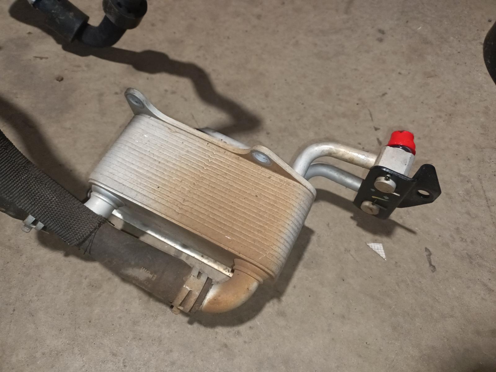 Cooler Ranger Ford 2020