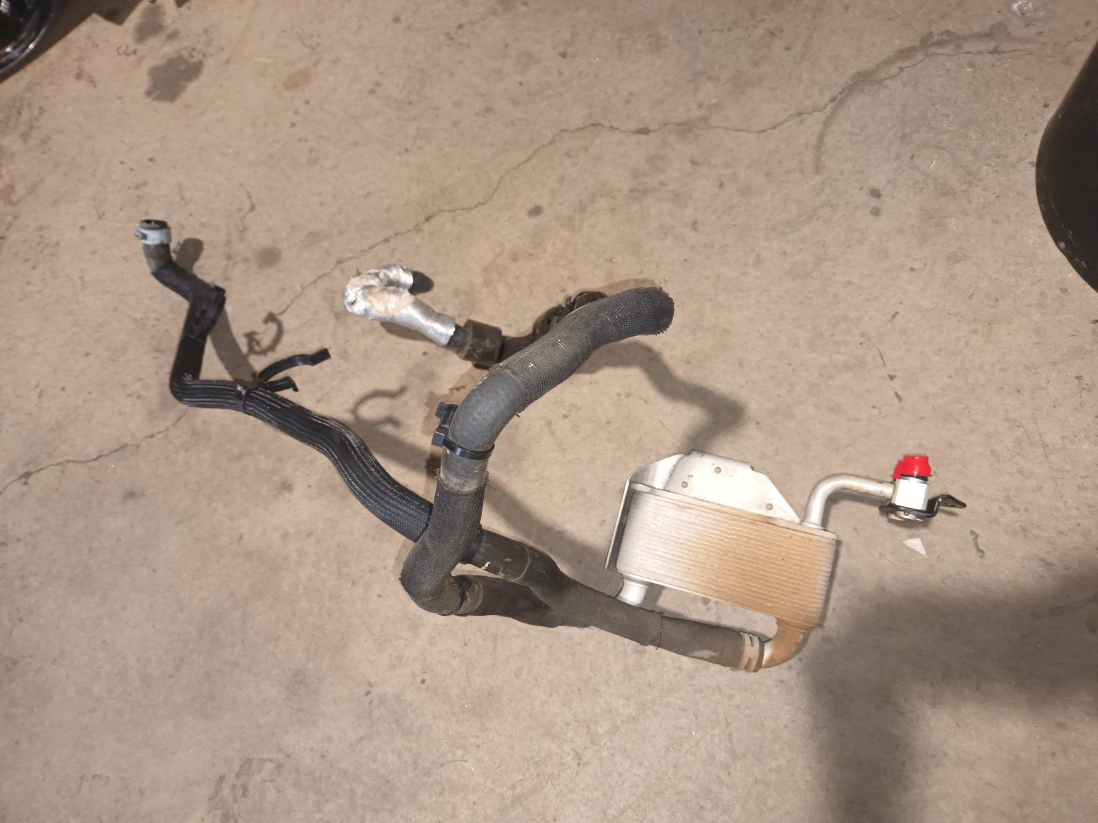 Cooler Ranger Ford 2020