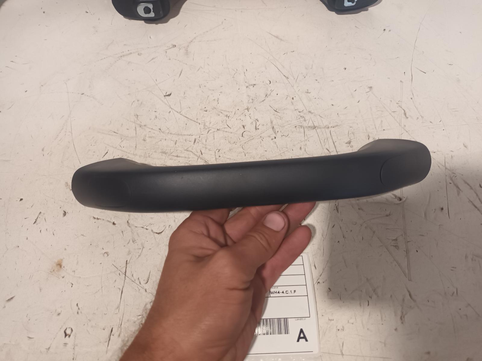 Grab Handle Everest Ford 2017