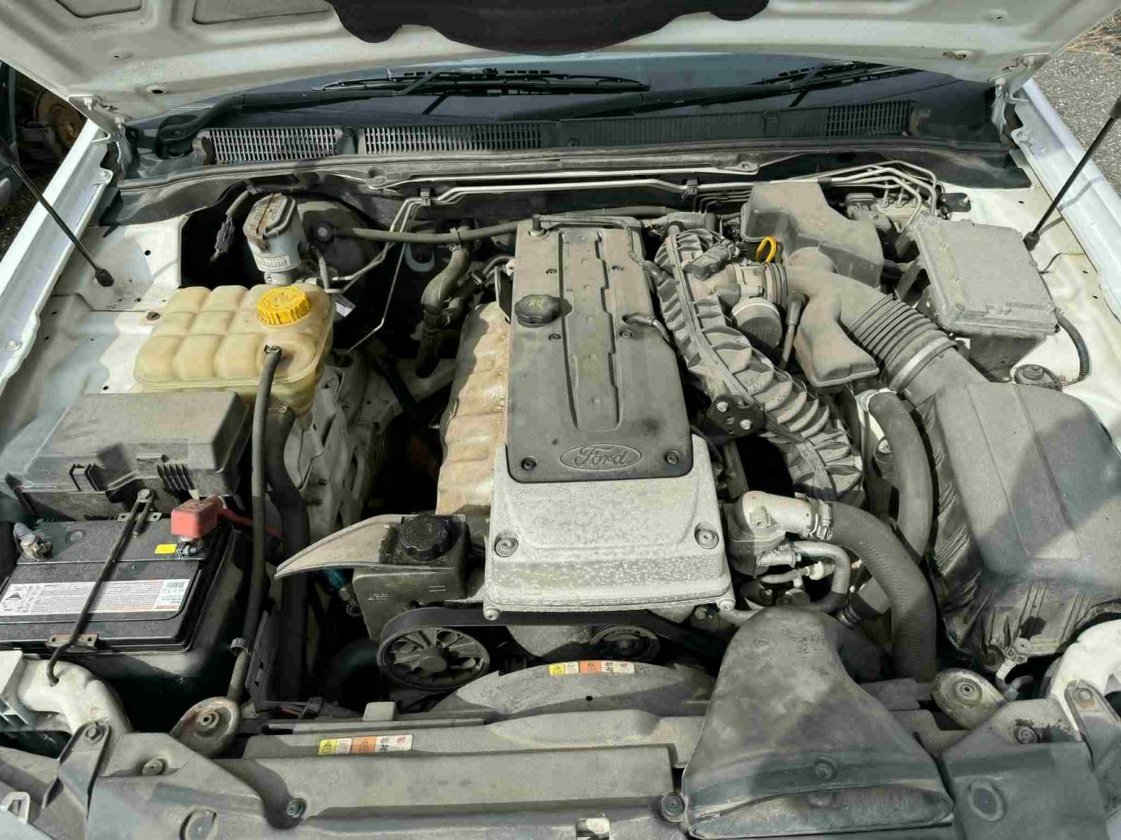 Bonnet Falcon Ford 2012