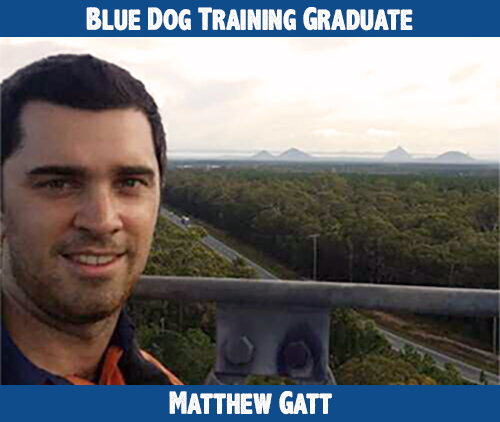 News | Blue Dog Training