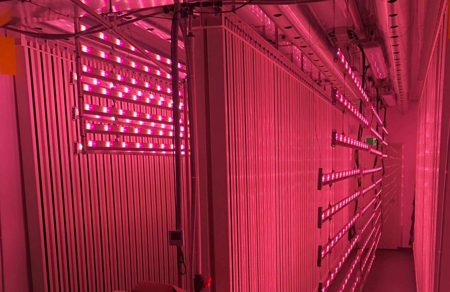 Canadian Modular Farms expand to Australia with vertical hydroponic ...