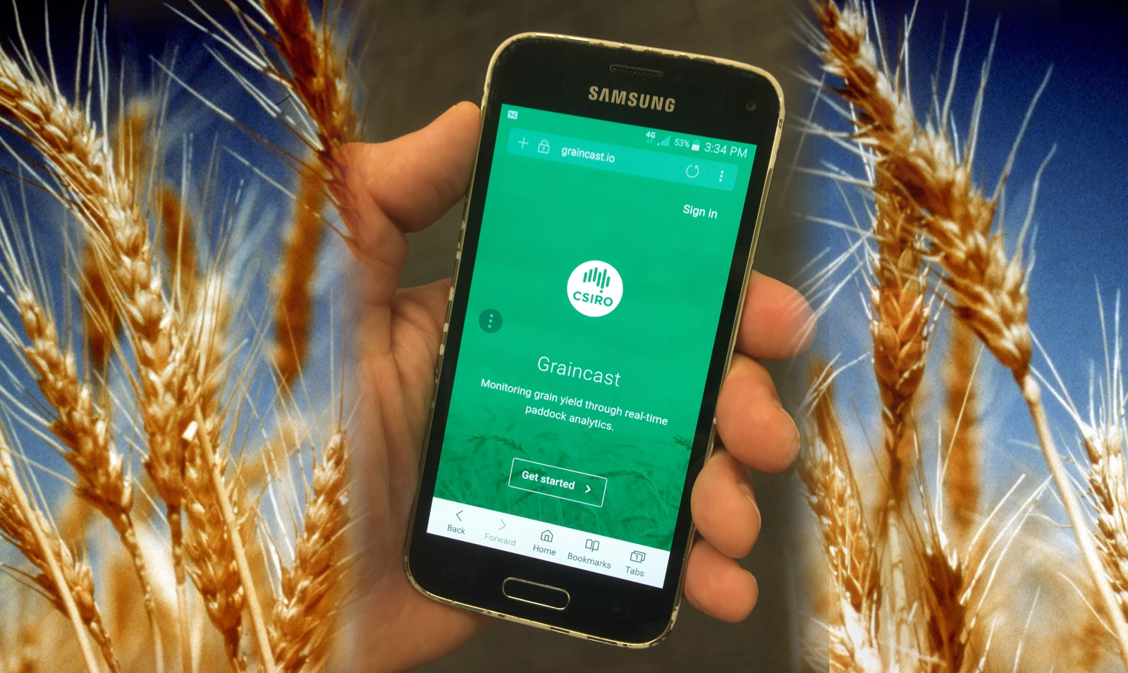 CSIRO creates grain forecast app to help farmers - techAU