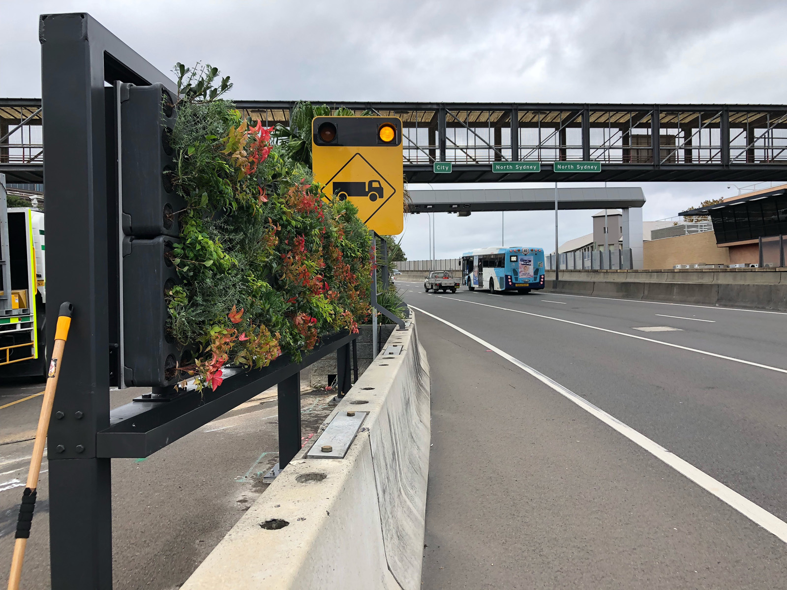 Junglefy gets $100k to turn Sydney Motorways green - techAU