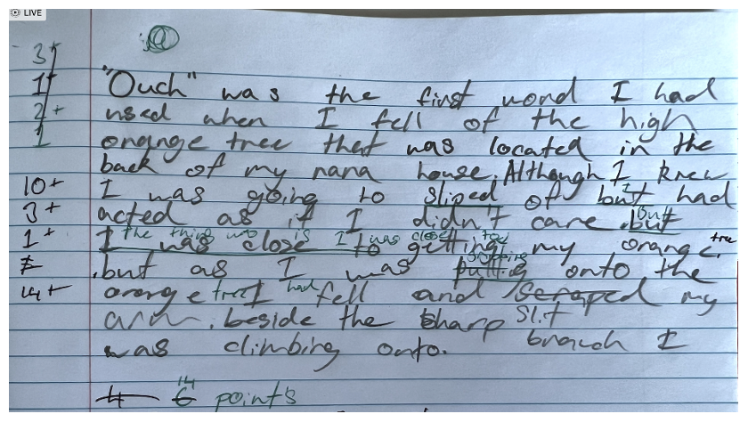 The Literacy Place - Punctuation Points