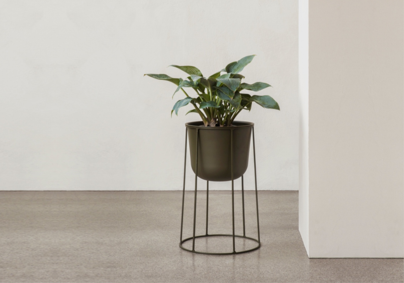 Wire Pot - Transforma