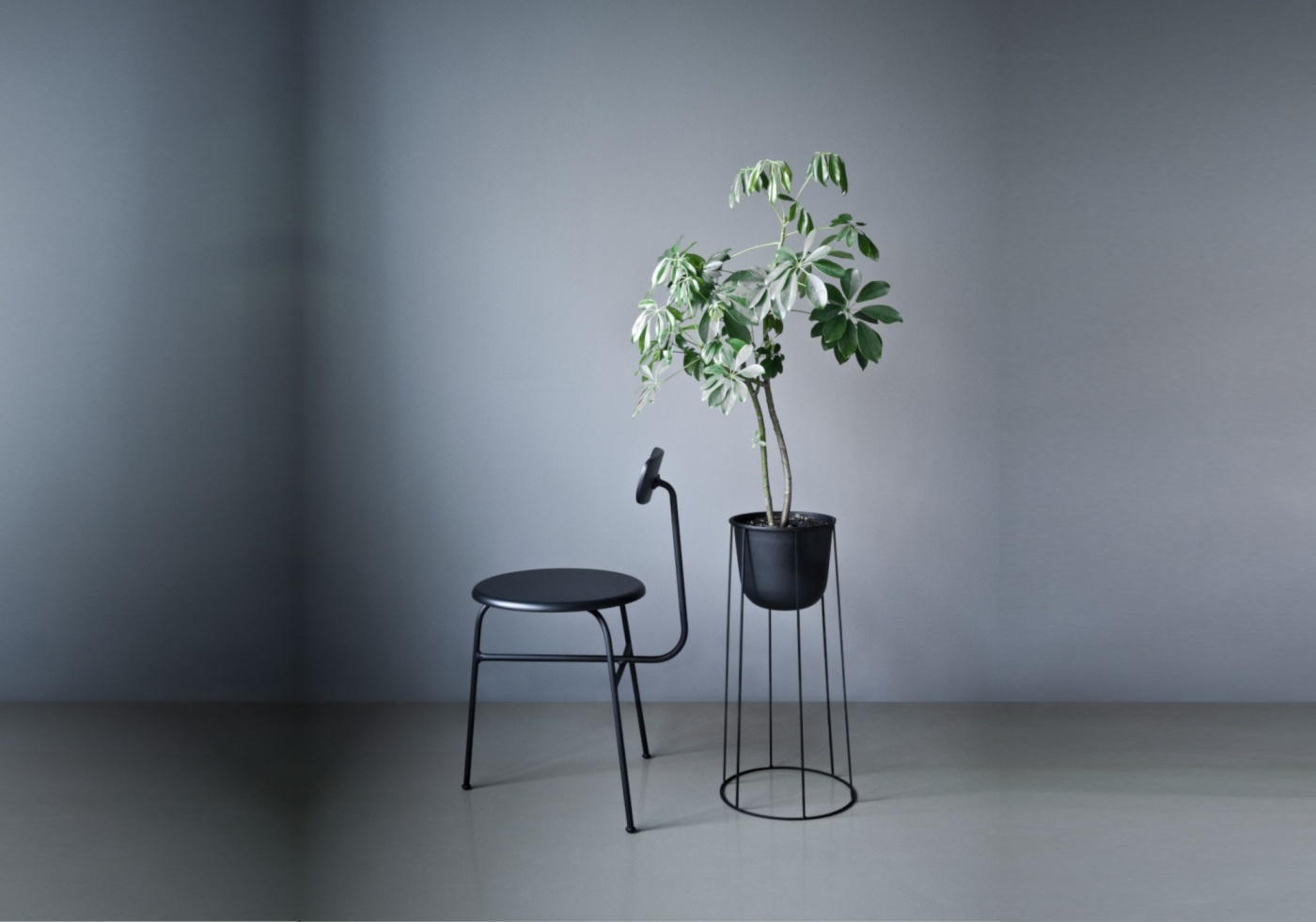 Wire Pot - Transforma