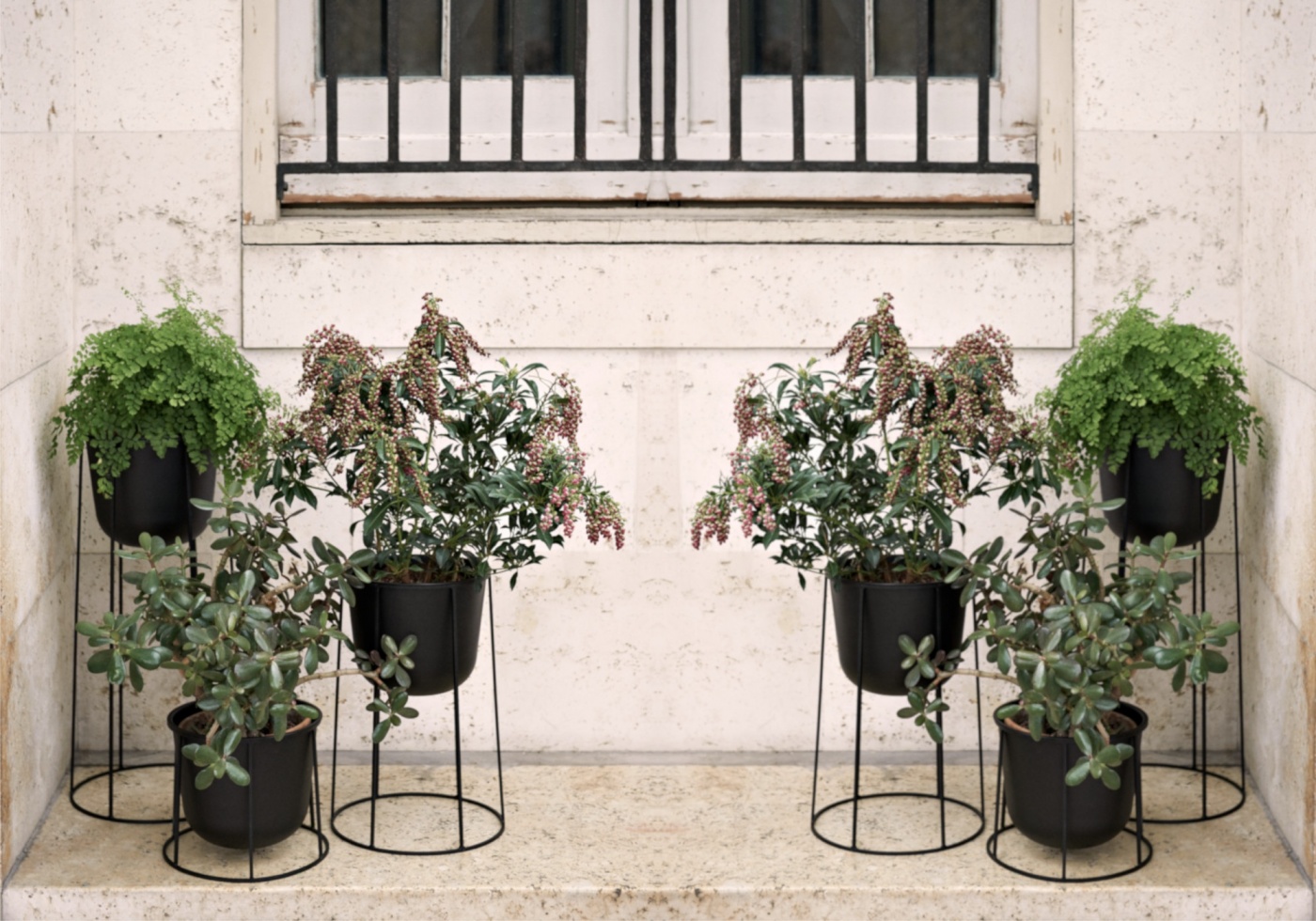 Wire Pot - Transforma