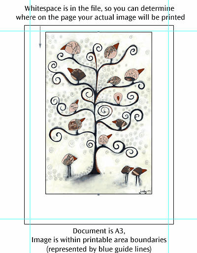 File Setup Fee | Image Science