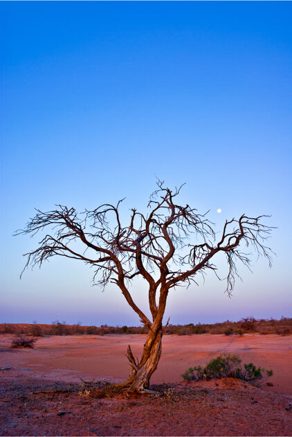 Jason Edwards Print Giveaway - Week Two! | Image Science