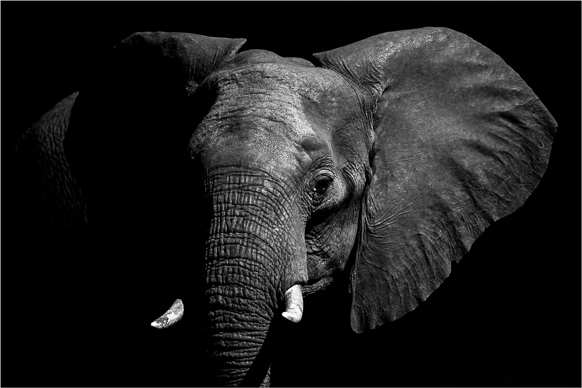 Jason Edwards Print Giveaway - Week One! | Image Science