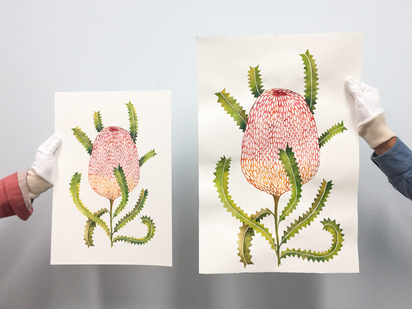 Raw versus Print Ready Scans - what's the difference? | Image Science