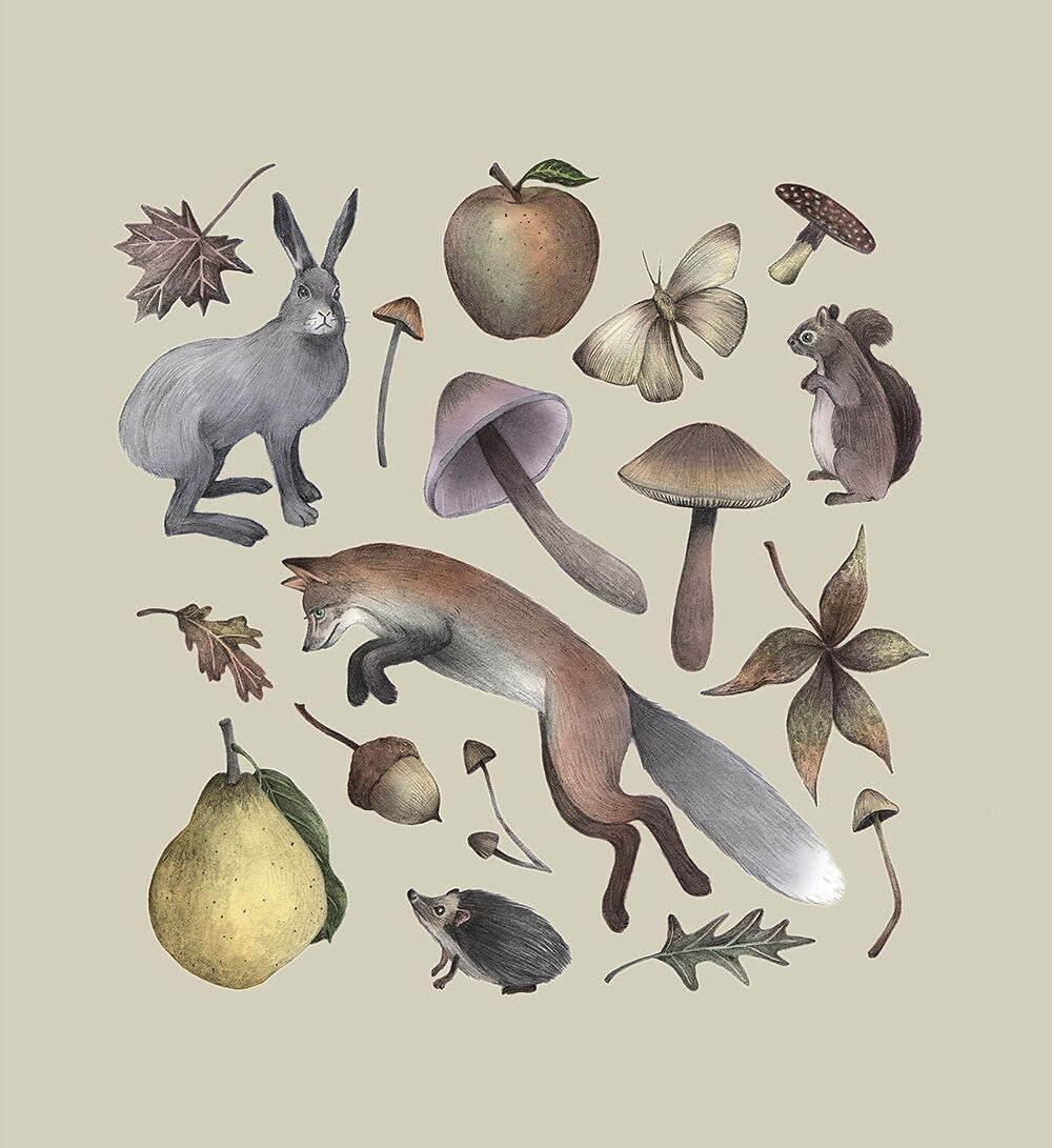 Featured Artist: Allira Tee | Image Science