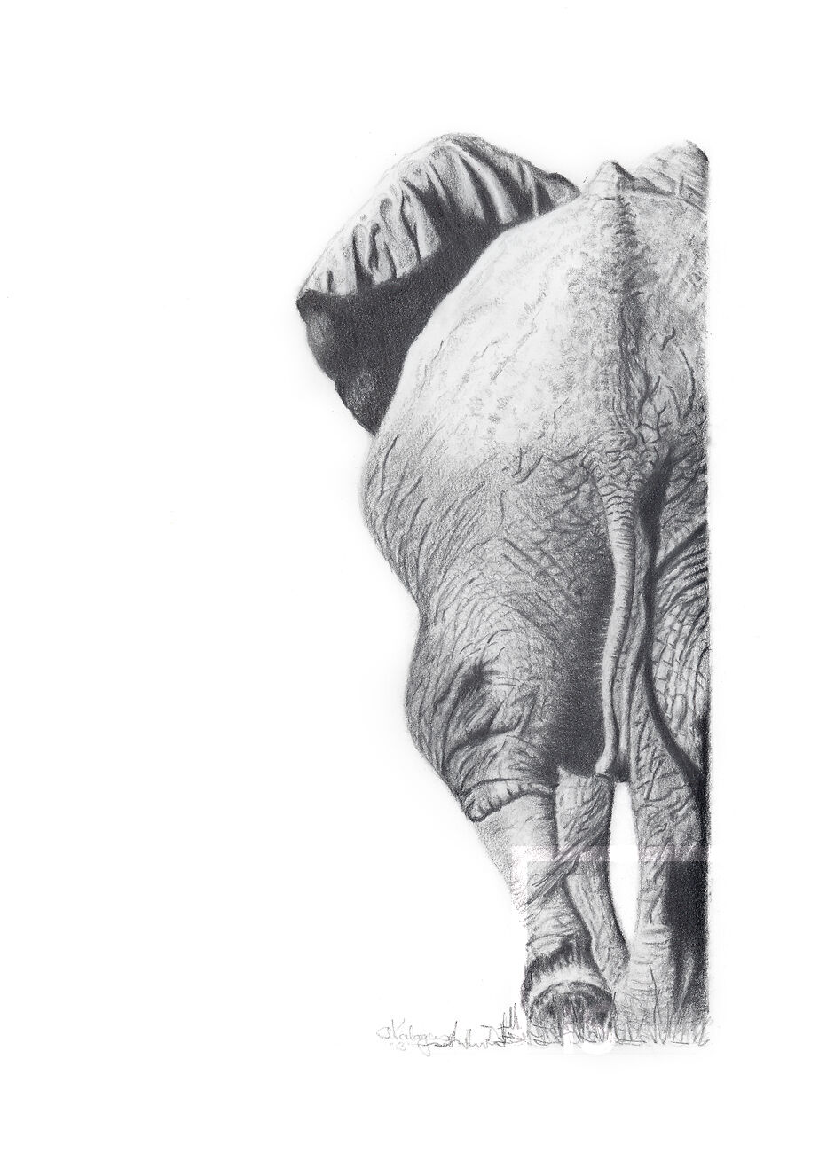 Featured Artist: Aviva Kalagas | Image Science