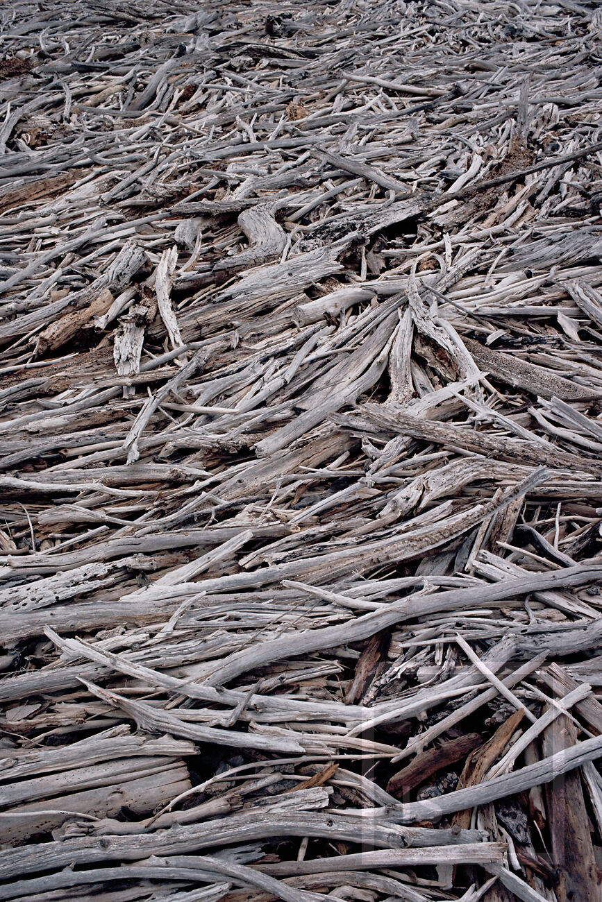 Featured Artist: Ben Clement | Image Science