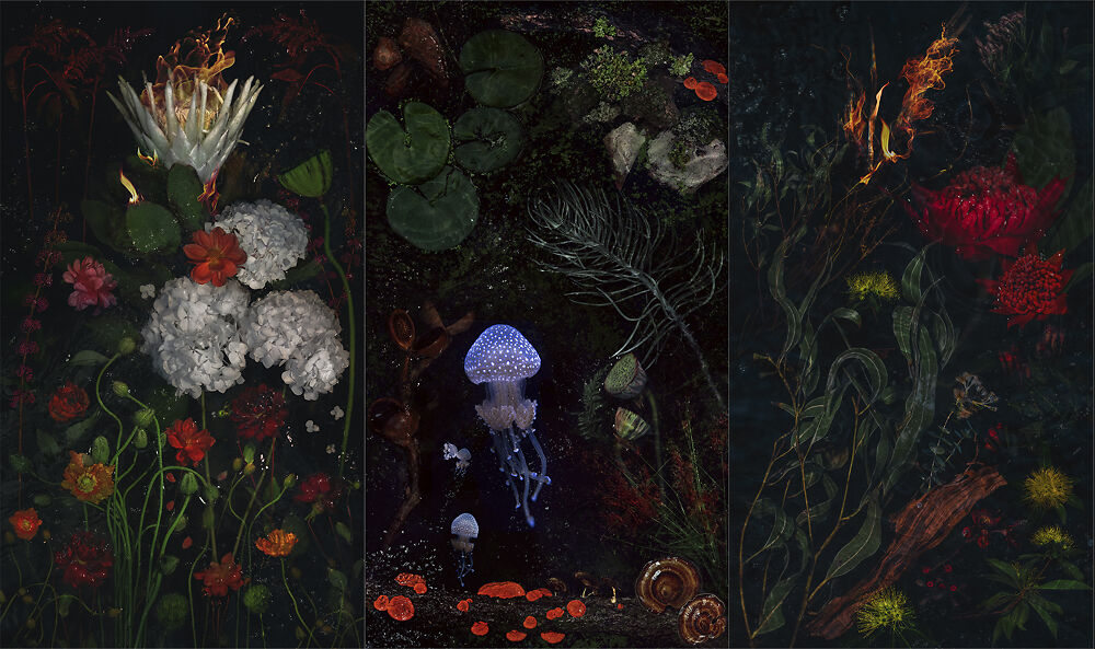 Featured Artist: Beth Mitchell | Image Science