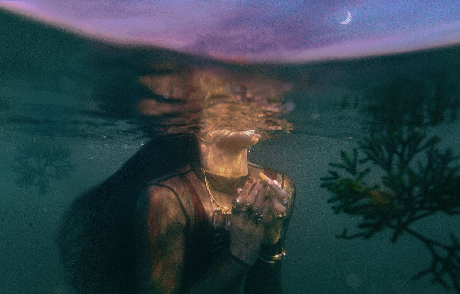 Featured Artist: Beth Mitchell | Image Science