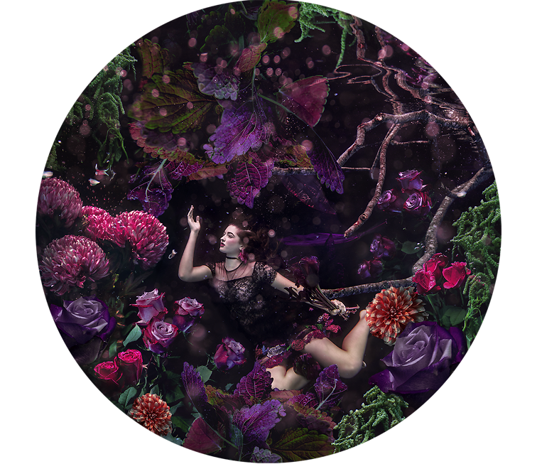 Featured Artist: Beth Mitchell | Image Science