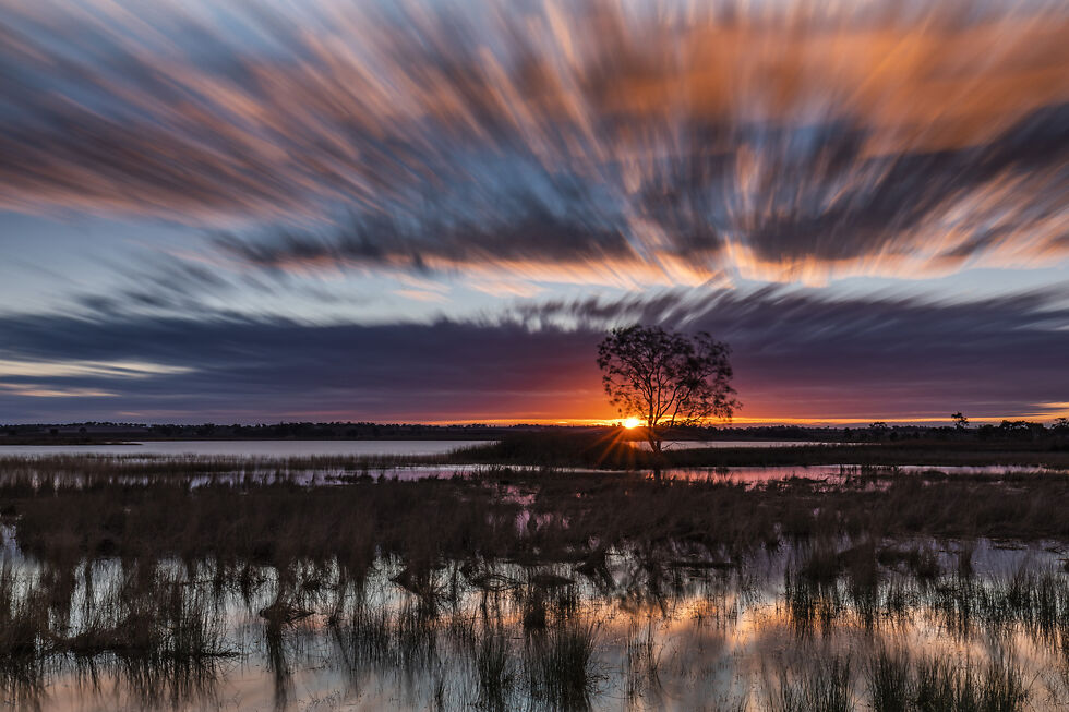 Featured Artist: Blake Rosenberg | Image Science