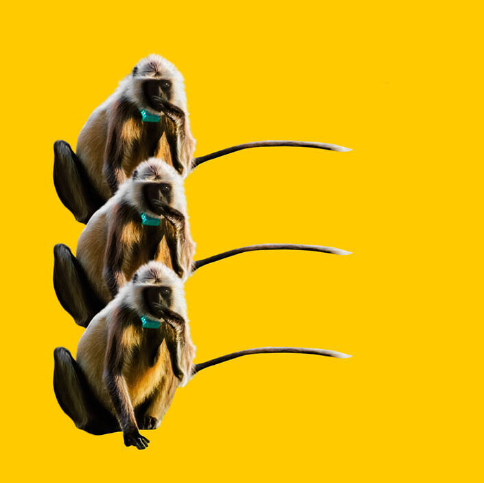 Featured Artist: Christian Pearson | Image Science