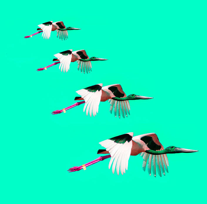 Featured Artist: Christian Pearson | Image Science