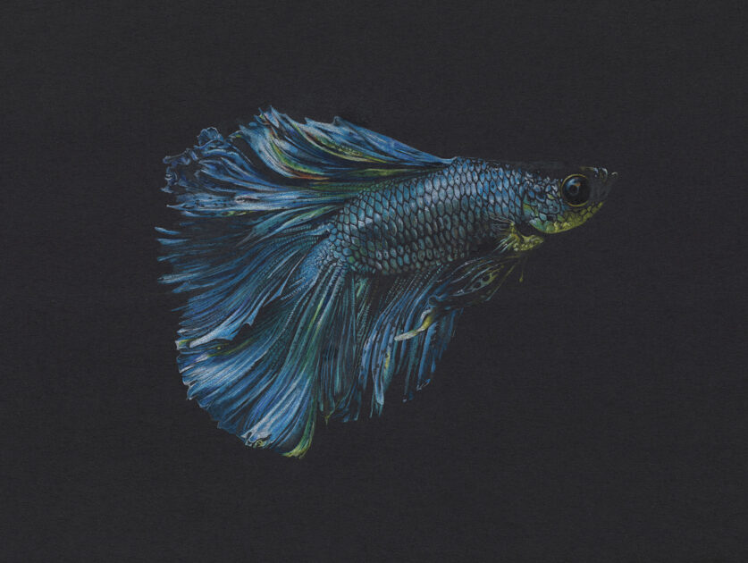 Featured Artist: Helen Grey Art and Science | Image Science